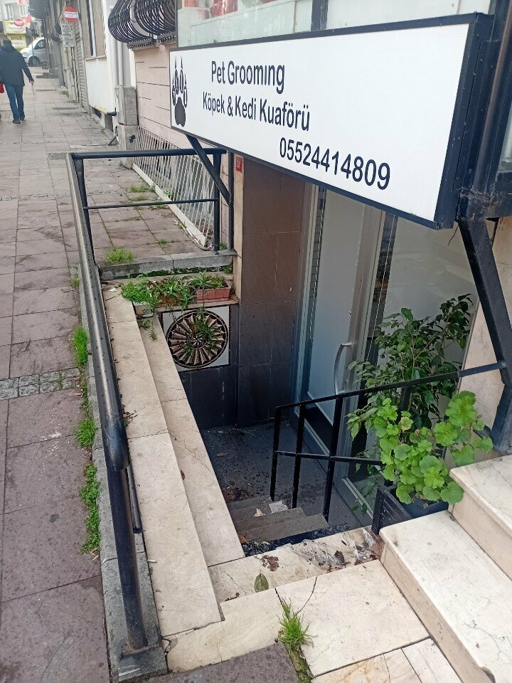 Petshop Pet Grooming, İstanbul, foto