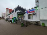 Сытый кот (50 god Pieramogi Street No:5А), petshop  Minsk'ten