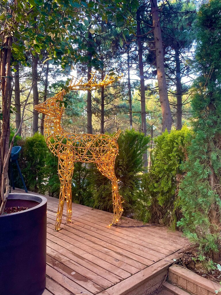 Turkcell Platinum Park, kültür ve eğlence parkları, Ayazağa Mah., 208 ...