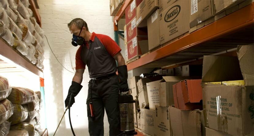 Haşere ilaçlama firmaları Bodrum Haşere İlaçlama Avcısı, Bodrum, foto