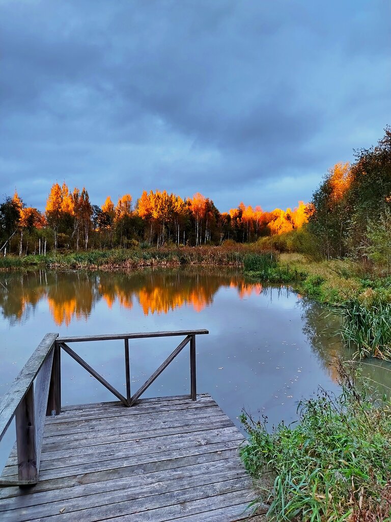 Çiftlik tatili Усадьба, Saint‑Petersburg ve Leningradskaya oblastı, foto
