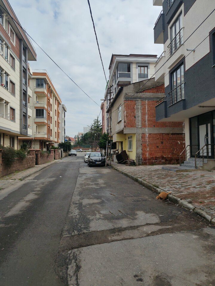 Otomobil servisi Rmz Otomotiv - Özel Servis Tamir/Bakım Renault - Dacia, İstanbul, foto