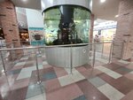 Аквариум (Kalinina Avenue No:15с1), akvaryum  Tver'den