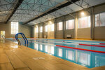 Piranha Swimming Club (Ana Politkovskaias Street No:3/27), yüzme okulu  Tiflis'ten
