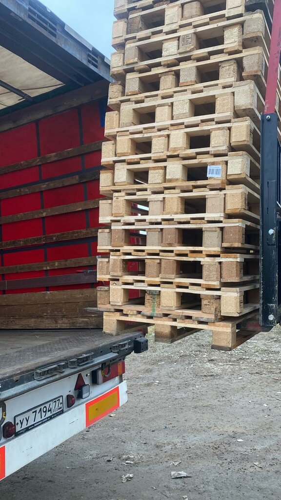 Paletler Vektor, Moskova ve Moskovskaya oblastı, foto