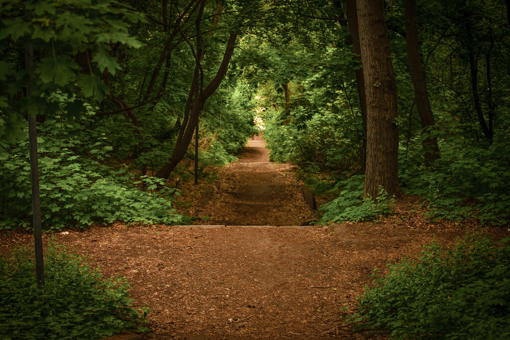 Hızlı ulaşım istasyonu High-speed urban transport station, Ulyanovsk, foto
