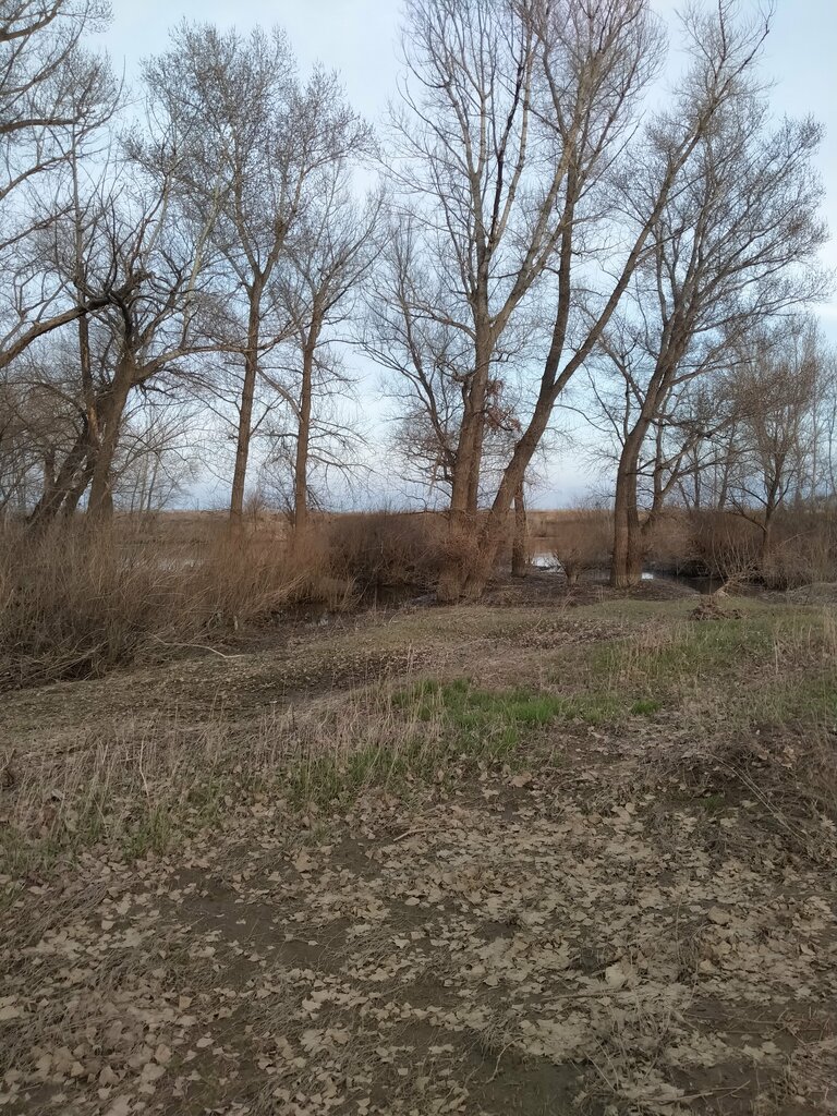 Plaj Пляж, Orenburgskaya oblastı, foto