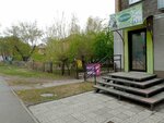 Студия груминга (ulitsa Chertygasheva No:85), evcil hayvan kuaförleri  Abakan'dan