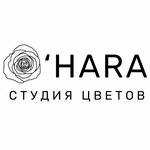 O'hara (проспект Октябрьской Революции No:52Д/1), çiçekçiler  Sevastopol'dan