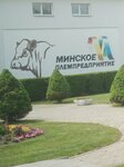 РУСП Минское племпредприятие, Несвижский филиал (Minskaja region, Niasvižski sieĺsaviet), tarım firmaları  Minskaya oblastından