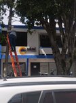 Celutel Comunicaciones S. A. s (Valle del Cauca, Municipio de Santiago de Cali, Comuna 2, San Vicente, Avenida 4 Norte, 26-NORTE-47), telefon santralleri  Cali'den