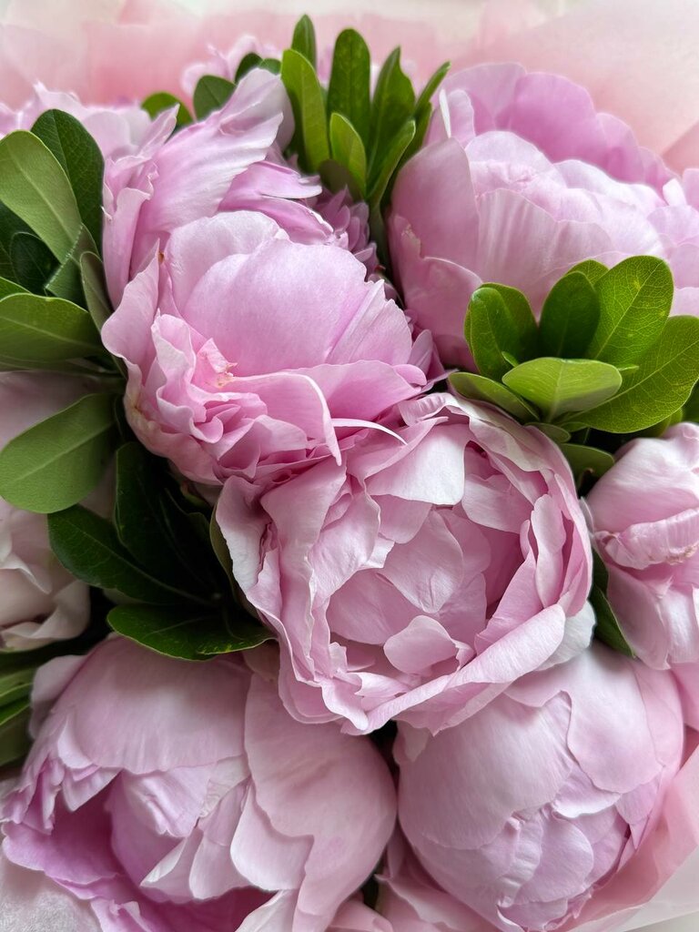 Çiçek teslimatı Bloomles, Moskova, foto