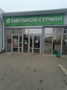 Хмельной гурман, магазин разливного пива (No:57А, 5-y mikrorayon), bira dükkanı  Kamyşin'den