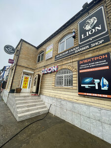 Lion (Ali-Gadzhi Akushinskogo Avenue No:211), berberler  Makhachkala'dan