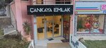 Çankaya Emlak (Yıldızevler Mah., Şehit Mustafa Doğan Cad., No:92, Çankaya, Ankara), otomobil satış galerileri  Ankara'dan