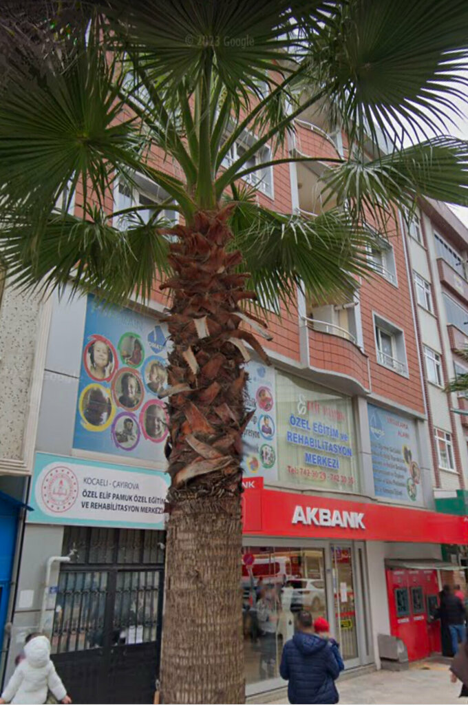 Eğitim merkezleri Elif Pamuk Rehabilitasyon Merkezi, Çayırova, foto