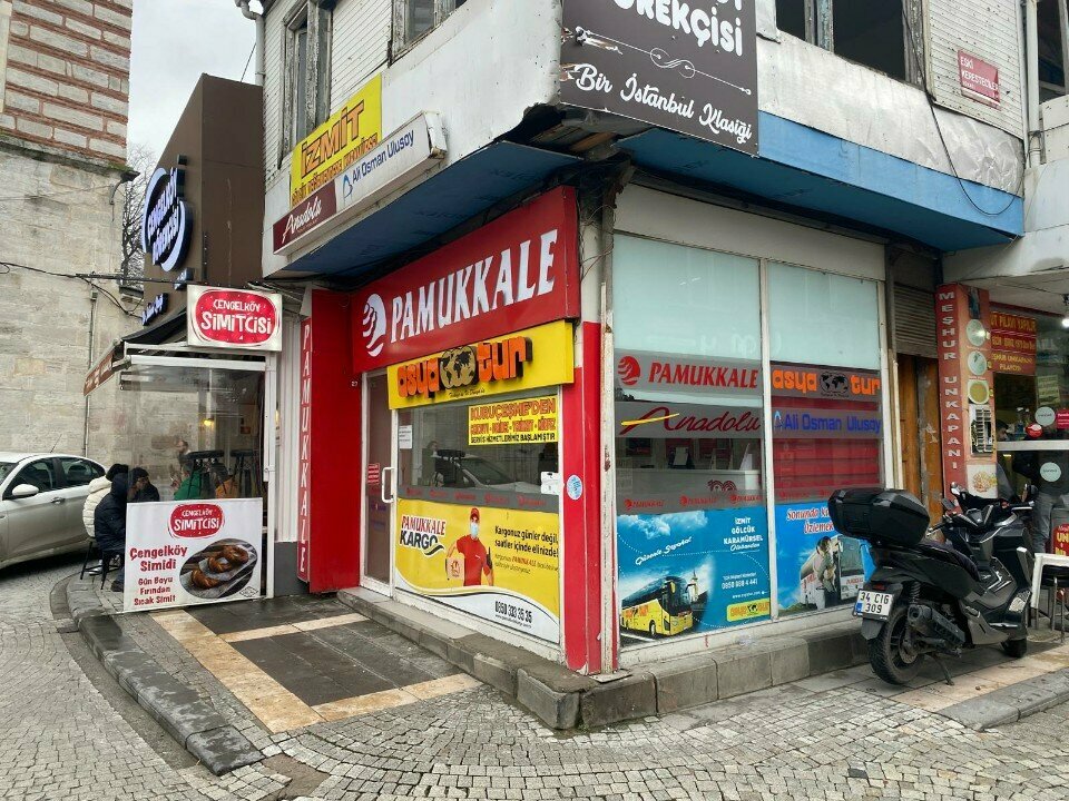 Otobüs biletleri Anadolu Ulaşım, İstanbul, foto