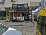 Hegas Veteriner (İzmir, Bornova, Erzene Mah., 63 Sok., 10B), veteriner klinikleri  İzmir'den