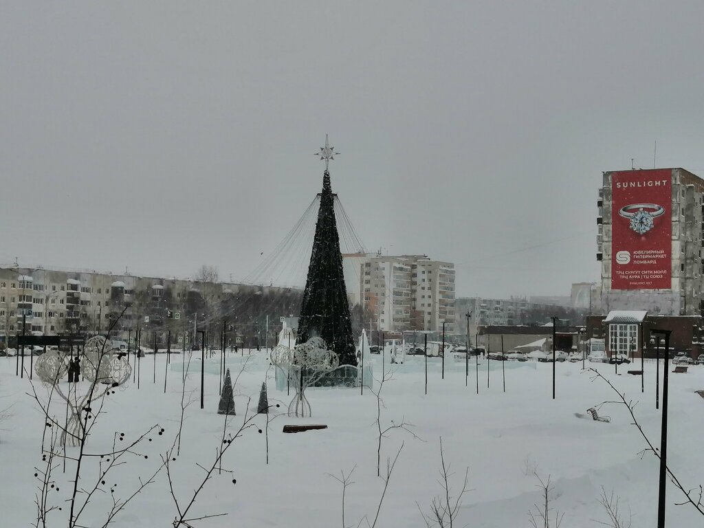 Buz pateni pistleri Каток, Surgut, foto