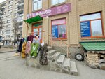 Адам и Ева (51st Gvardeyskoy Divizii Street No:9Б), giyim mağazası  Volgograd'dan