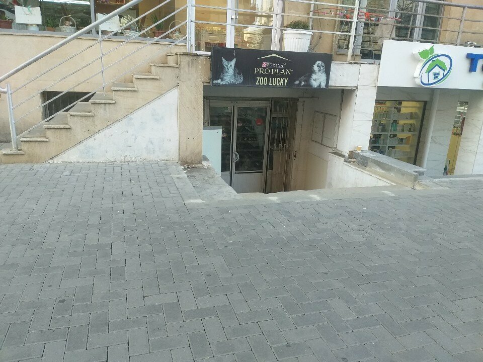 Petshop Pro Plan Zoo Lucky, Bakü, foto