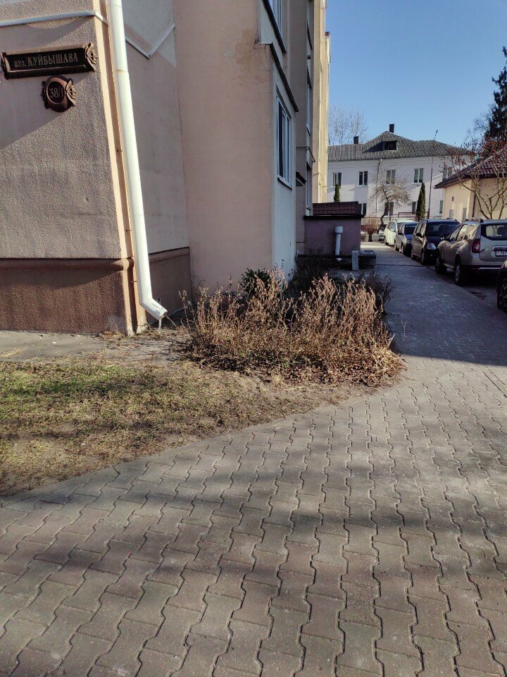 Muhasebe kursları 1C: school, Brest, foto