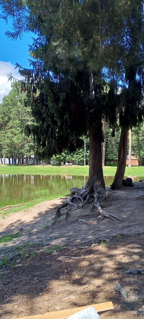 Oyun alanı Playground, Moskova ve Moskovskaya oblastı, foto