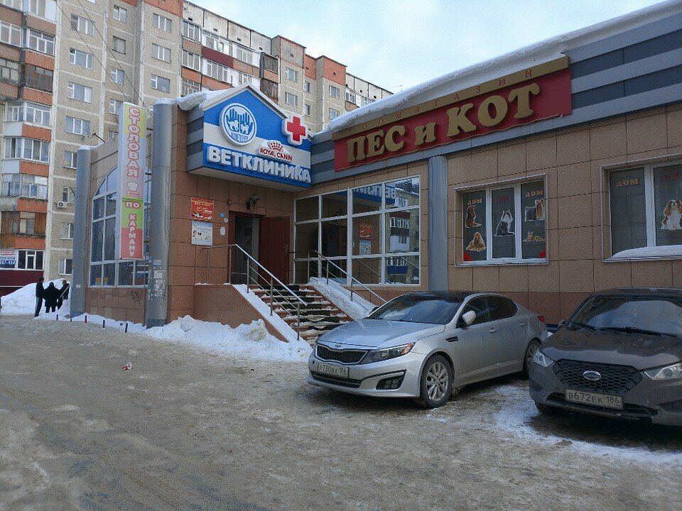 Veteriner klinikleri Zoovettsentr, Surgut, foto