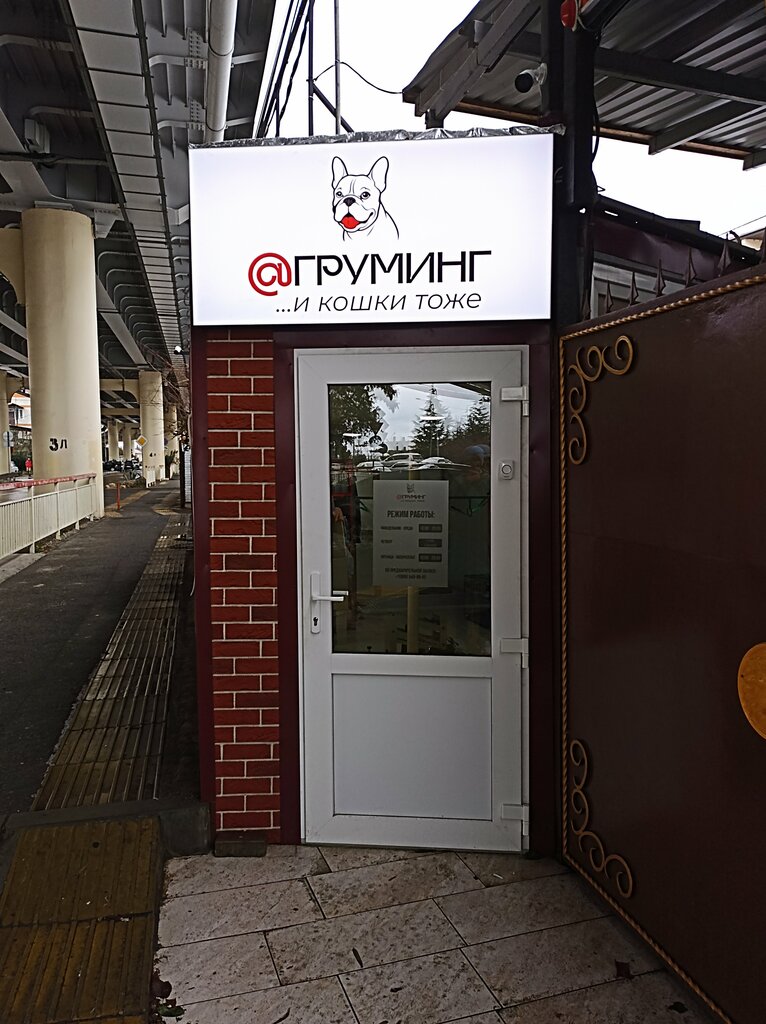 Evcil hayvan kuaförleri Груминг, Soçi, foto