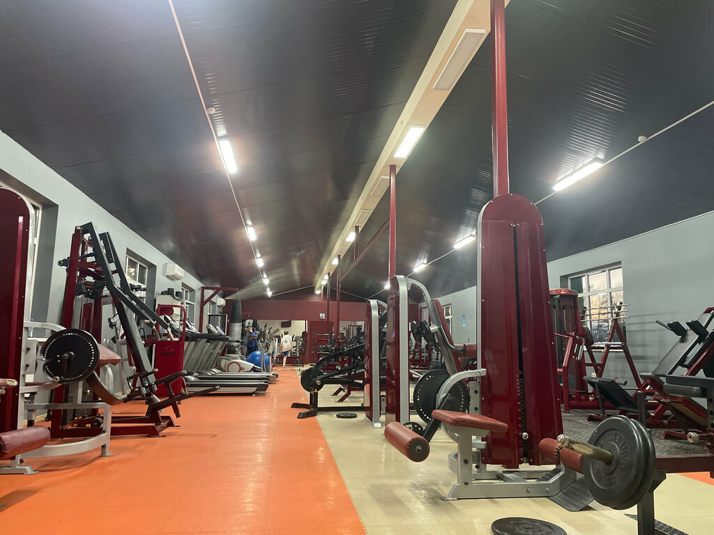 Fitness kulüpleri Новый, Moskova ve Moskovskaya oblastı, foto