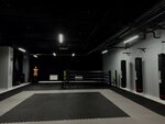 Gorilla Fighting (Ostrogozhskaya Street No:166Б), spor kulüpleri  Voronej'den