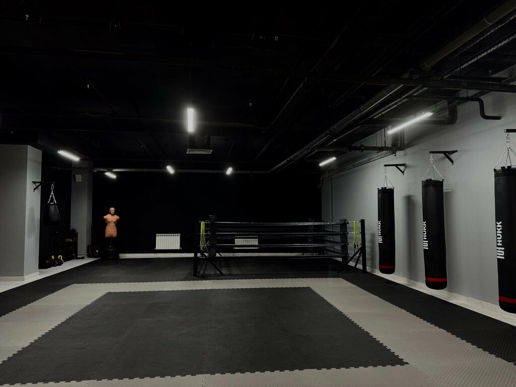 Spor kulüpleri Gorilla Fighting, Voronej, foto