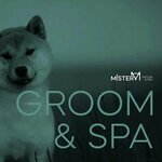 Mister M (Pervomayskaya Street No:72), evcil hayvan kuaförleri  Yekaterinburg'dan