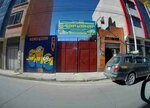 Renovacion Gnv (Department of La Paz, Provincia Murillo, El Alto, Avenida Nery), oto döşeme  El Alto'dan