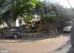 Ohana (Department of Cochabamba, Provincia de Cercado, Cochabamba, Avenida América, 131), dondurmacılar  Bolivya'dan