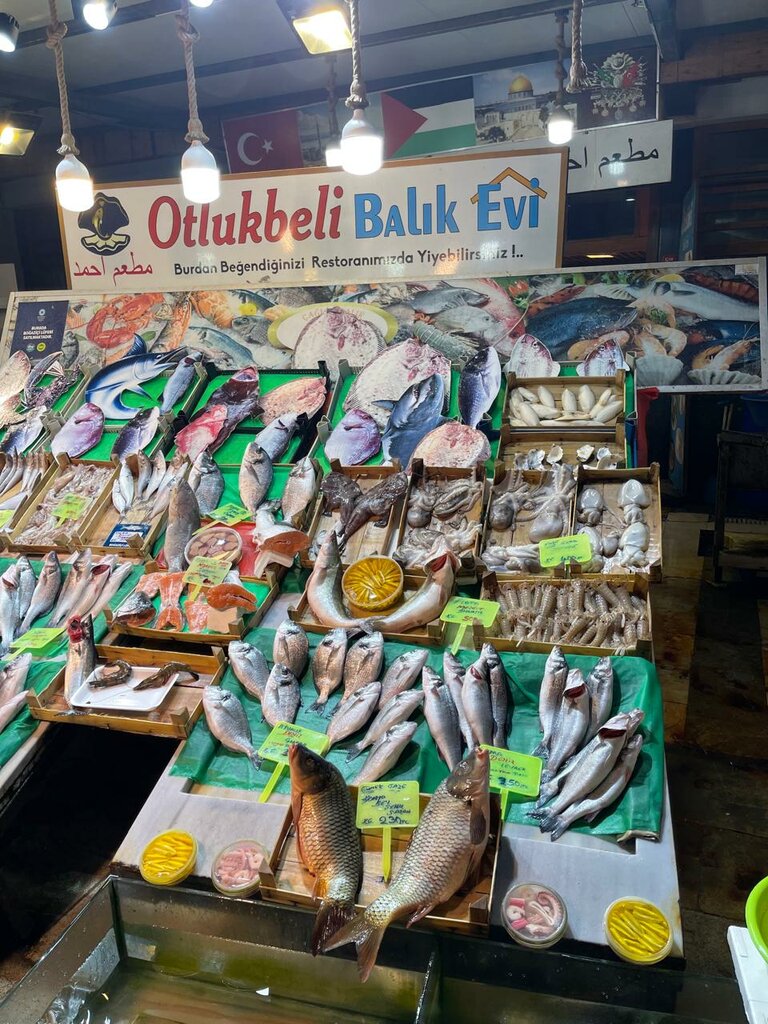 Kültür ve eğlence parkları Kumkapı Canlı Balık Parkı, İstanbul, foto