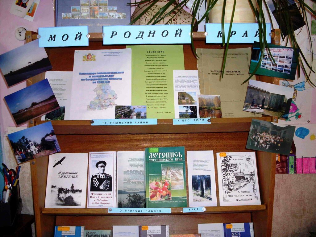 Kütüphaneler Mal'cevskaya sel'skaya biblioteka, filial № 12, Sverdlovskaya oblastı, foto