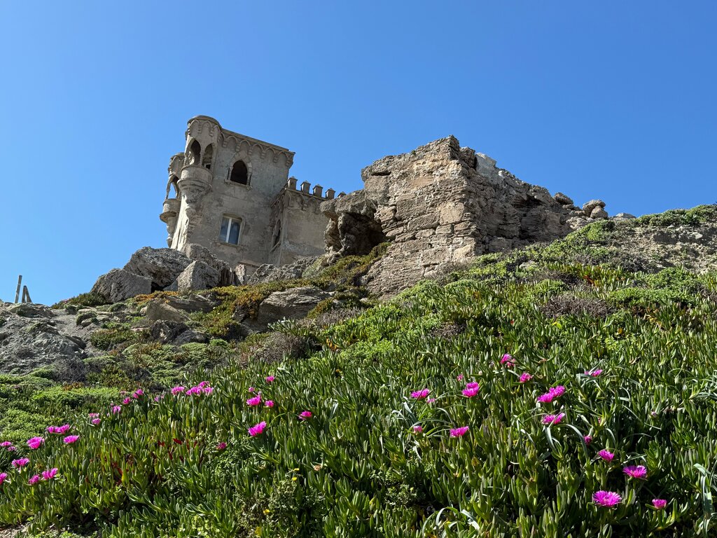 Turistik yerler Castillo de Santa Catalina, , foto