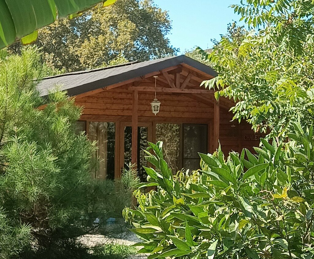 Konuk evi Chalet Vardan, Gagra Bölgesi, foto