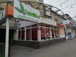 Оливка (Toktogul Street No:232), kafe  Bişkek'ten