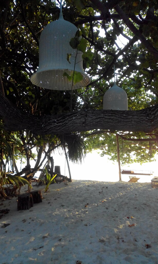 Otel Rasdhoo Island Inn, , foto