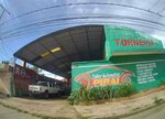 Pirai Automotive Workshop (Santa Cruz de la Sierra, Distrito Municipal 1, Subdistrito 53, Doctor Miguel A. Ruiz, 3060), oto döşeme  Santa‑Krus'tan