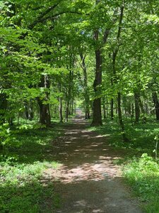 Тихий парк (Kaliningrad, Tikhiy park), kültür ve eğlence parkları  Kaliningrad'dan