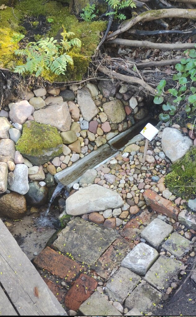 Pınar, çay Панский 2, Mogiliovskaya oblastı, foto