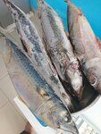 Bn Poissonnerie (Rue D71 No:880, Cocody), balık ve deniz ürünleri  Abican'dan