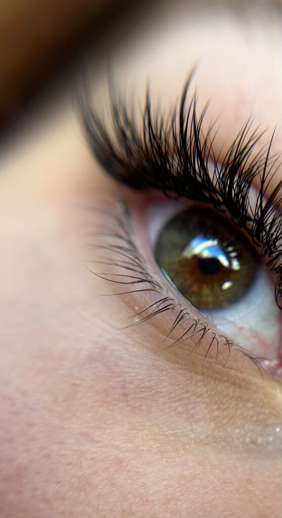 Kaş ve kirpik salonu Li_studio, Tver, foto