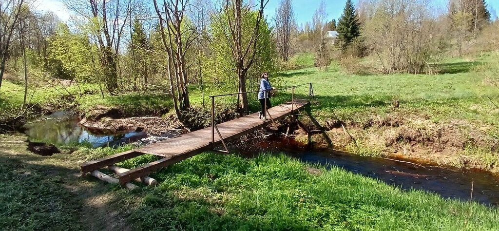 Pınar, çay Spring, stream, Saint‑Petersburg ve Leningradskaya oblastı, foto