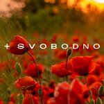 +svobodno (Nikolaya Ostrovskogo Street No:52), giyim mağazası  Perm'den