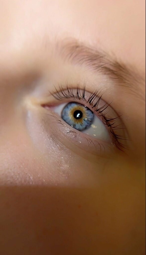 Kaş ve kirpik salonu Beauty is in the Details, Novosibirsk, foto