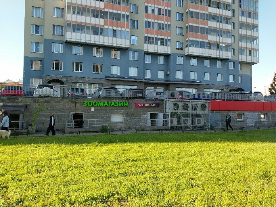 Yabancı dil kursları British cat, Saint‑Petersburg, foto